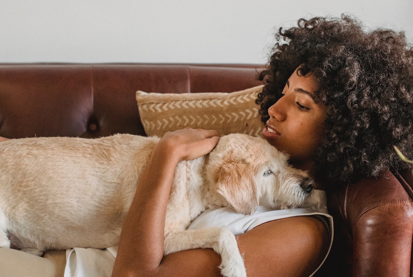 Treating Grief After the Loss of a Pet - Elevate You CE